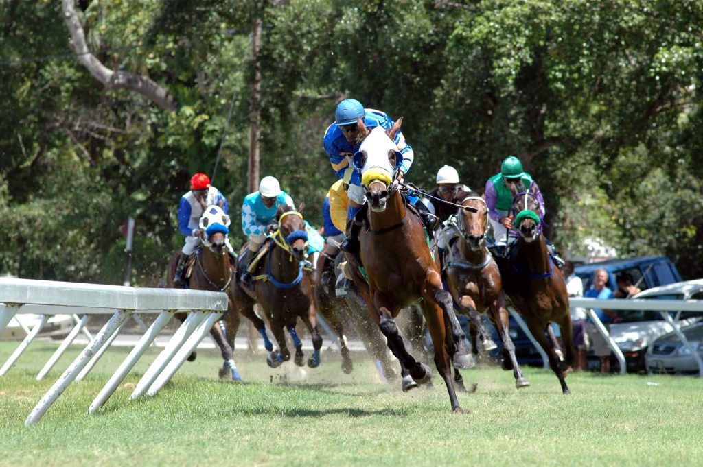 Cocktail Bar | Events Venue | Chester - The Guild Chester